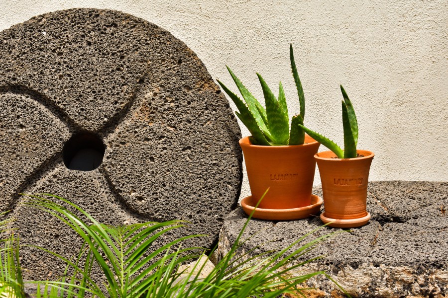 LAJAMARI – CLAY COMPANY