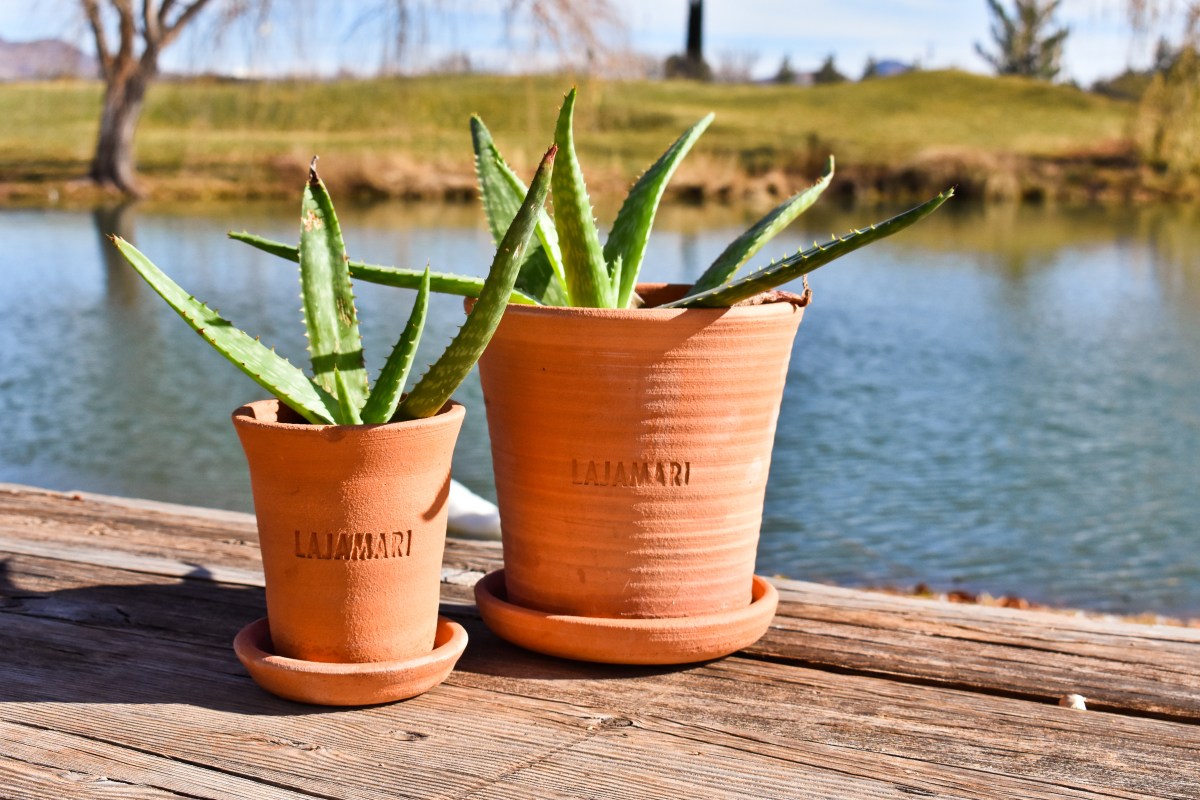 LAJAMARI – CLAY COMPANY